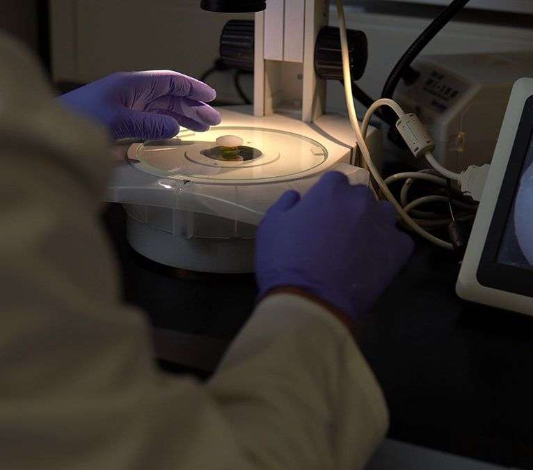 Knee Device Testing – Orthopaedic Innovation Centre